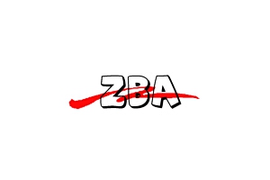 ZBA Cable | Data Capture Solutions